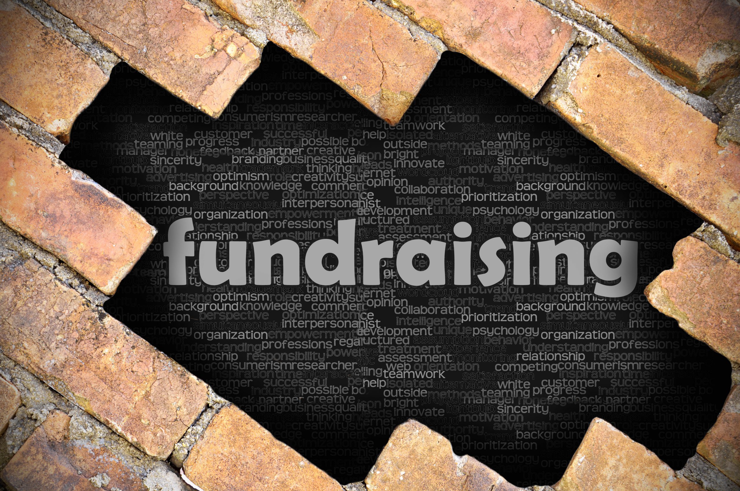 fundraising brick wall : Bricks R Us