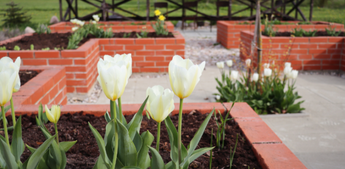 Engraved Brick Fundraising Success Stories: Real-Life Examples : Bricks ...